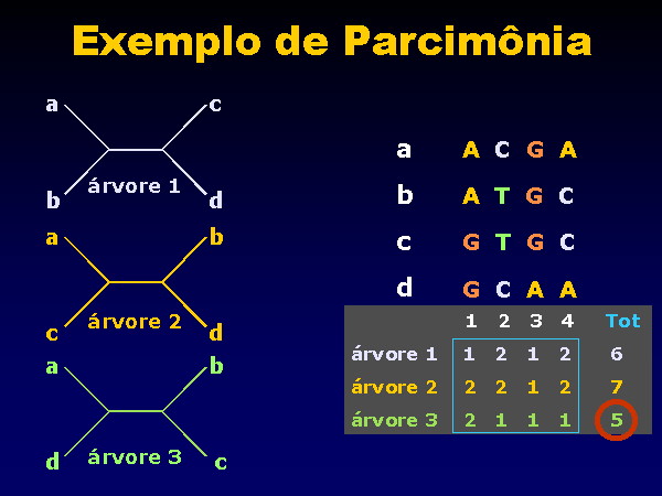 Exemplo de Parcimônia