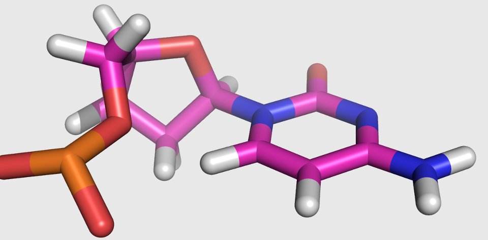Início - ICB-LBMM | ICB-LBMM
