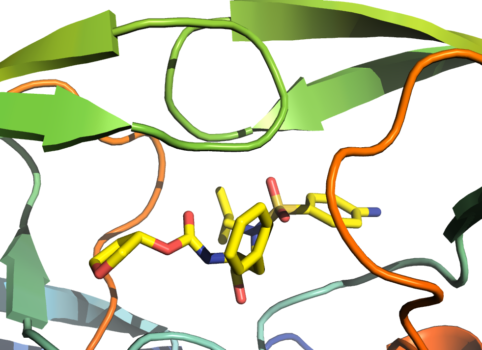 Início - ICB-LBMM | ICB-LBMM