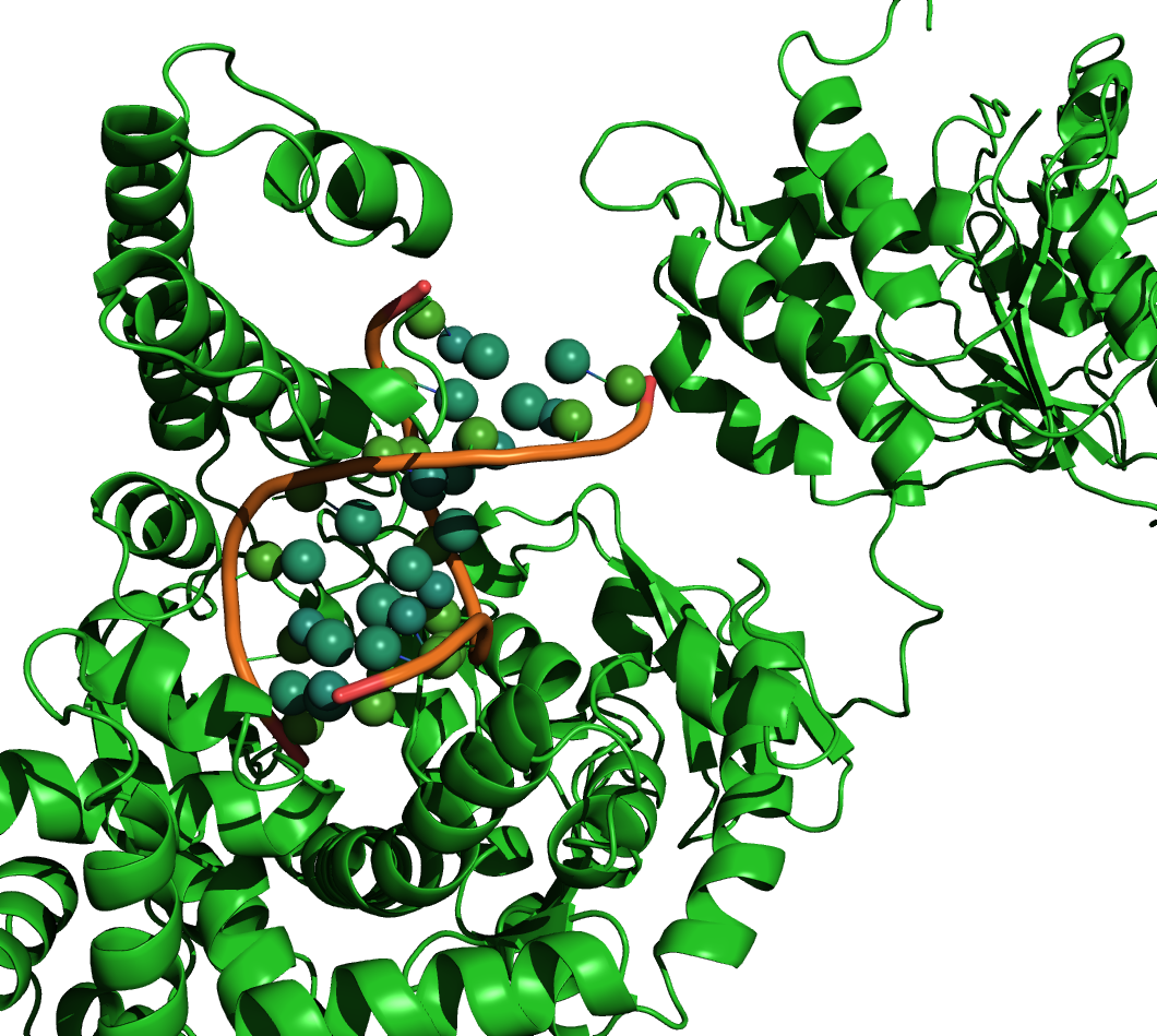 Início - ICB-LBMM | ICB-LBMM